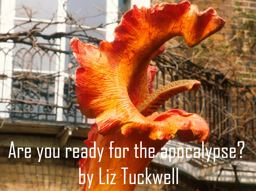 Are you ready for the apocalypse? by Liz Tuckwell | The Passing Place